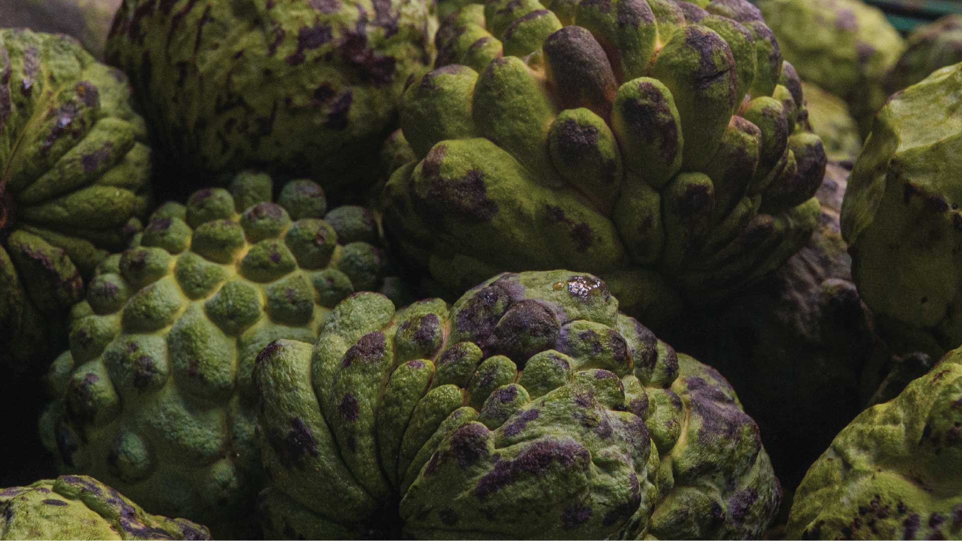 Exotic tropical fruits of Colombia - La Mesa Food Tours