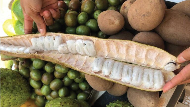 Exotic tropical fruits of Colombia - La Mesa Food Tours