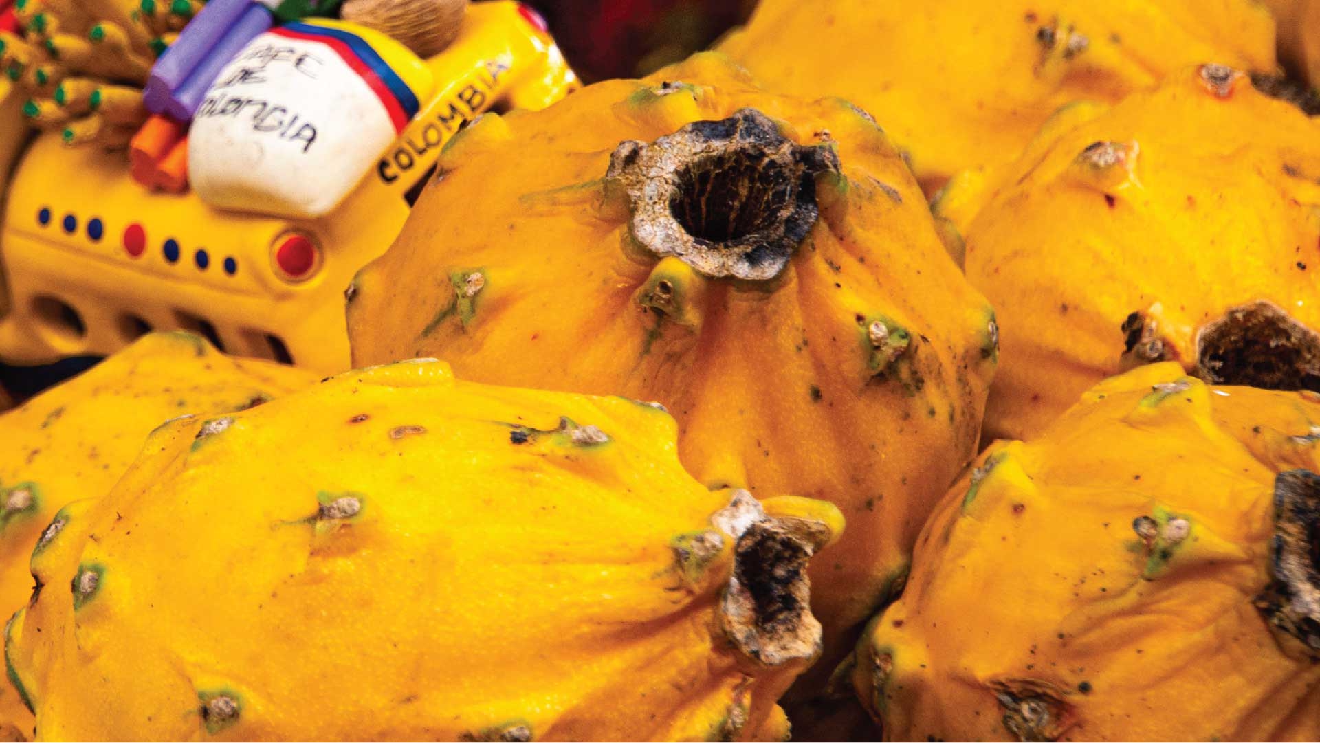 Exotic tropical fruits of Colombia - La Mesa Food Tours